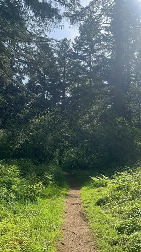 Best Hikes and Trails in Orchards Park | AllTrails