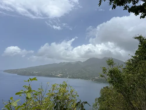 Best Hikes and Trails in Cotton Hill Estate | AllTrails