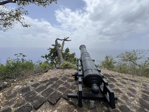 Best Hikes and Trails in Cotton Hill Estate | AllTrails