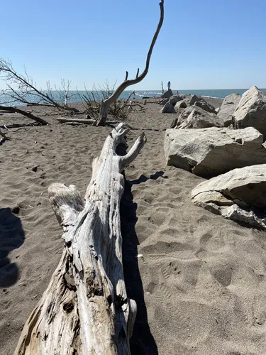 Best Lake Trails in Point Pelee National Park | AllTrails