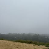 Fryman Canyon Trail, California - 6,202 Reviews, Map | AllTrails