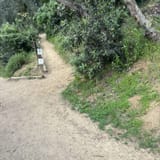 Fryman Canyon Trail, California - 6,202 Reviews, Map | AllTrails