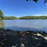 Lake Pine Loop, North Carolina - 1,291 Reviews, Map | AllTrails