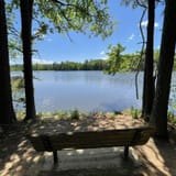 Lake Pine Loop, North Carolina - 1,291 Reviews, Map | AllTrails