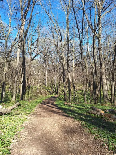 Best Views Trails in Stone State Park | AllTrails