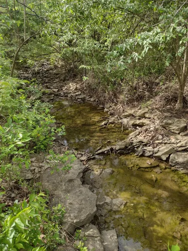 Best Easy Trails in Shawnee Mission Park | AllTrails