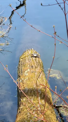 Best Lake Trails in Holly State Recreation Area | AllTrails