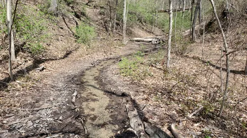 Best Lake Trails in Holly State Recreation Area | AllTrails