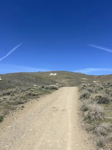 Rancho San Rafael Regional Park: de beste routes om te wandelen | AllTrails