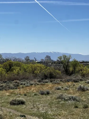 Rancho San Rafael Regional Park: de beste routes om te wandelen | AllTrails