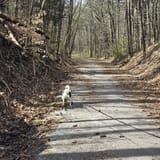 Rockingham Recreational Rail Trail Newfields Loop, New Hampshire - 55 ...