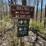 Cornish Estate Trail, New York - 1,693 Reviews, Map | AllTrails