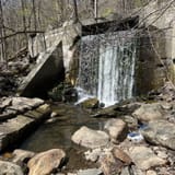 Cornish Estate Trail, New York - 1,693 Reviews, Map | AllTrails