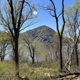 Cornish Estate Trail, New York - 1,693 Reviews, Map | AllTrails