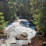 Crane Mountain Loop Hike, New York - 1,341 Reviews, Map | AllTrails