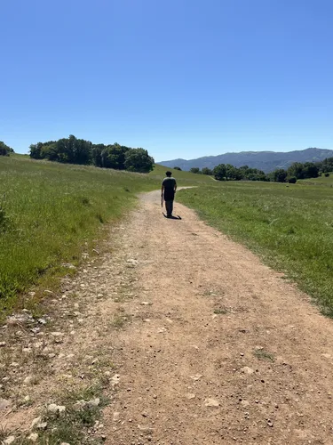 Best Views Trails in Mount Burdell Open Space Preserve | AllTrails