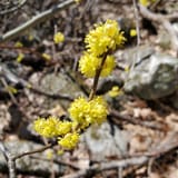 Monson Community Loop, New Hampshire - 268 Reviews, Map | AllTrails