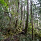 Skookumchuck Narrows, British Columbia, Canada - 1,172 Reviews, Map ...