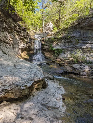 Best Forest Trails in Harrison | AllTrails