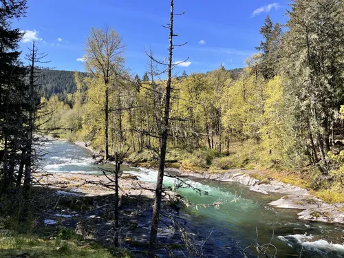 Best Forest Trails in Paldi | AllTrails