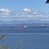 Point Defiance Park Outer Loop, Washington - 3,918 Reviews, Map | AllTrails