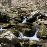 Rose River Trail, Virginia - 4,597 Reviews, Map | AllTrails