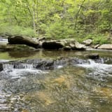 Pin-Chin-Sky Loop, Alabama - 677 Reviews, Map | AllTrails