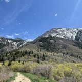 Neff's Canyon Loop, Utah - 2,464 Reviews, Map | AllTrails