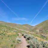 Keystone Canyon Trail, Nevada - 1,213 Reviews, Map | AllTrails