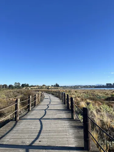 10 Best Trails and Hikes in Timaru | AllTrails