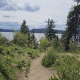Tubbs Hill, Idaho - 4,065 Reviews, Map | AllTrails