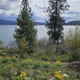 Tubbs Hill, Idaho - 4,033 Reviews, Map | AllTrails