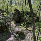 Mooner's Hollow Trail, Missouri - 1,608 Reviews, Map | AllTrails
