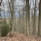 Plateau Trail, Ohio - 3,357 Reviews, Map | AllTrails