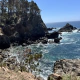 Salt Point Trail to Stump Beach, California - 755 Reviews, Map | AllTrails