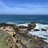 Salt Point Trail to Stump Beach, California - 755 Reviews, Map | AllTrails