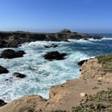 Salt Point Trail to Stump Beach, California - 755 Reviews, Map | AllTrails