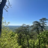 George W. Disney Trail, Georgia - 587 Reviews, Map | AllTrails