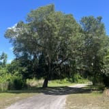 Carney Island Perimeter Loop, Florida - 231 Reviews, Map | AllTrails