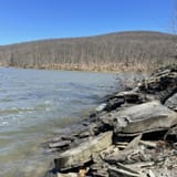 Tracy Ridge Hiking Trail System , Pennsylvania - 349 Reviews, Map ...