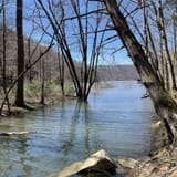 Tracy Ridge Hiking Trail System , Pennsylvania - 349 Reviews, Map ...