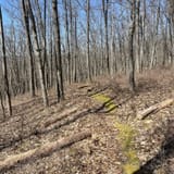 Tracy Ridge Hiking Trail System , Pennsylvania - 349 Reviews, Map ...