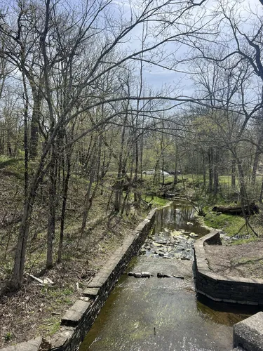 Best Trail Running Trails in Deer Grove Forest Preserve | AllTrails