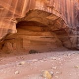 Wire Pass Trail, Utah - 2,902 Reviews, Map | AllTrails