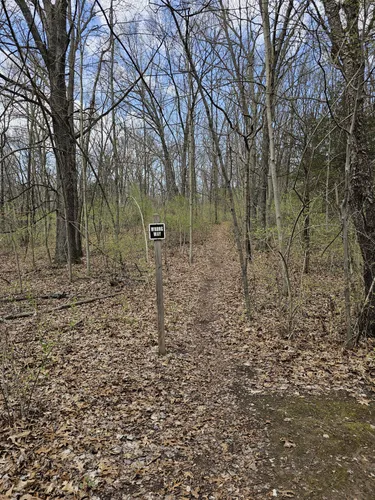 Best Camping Trails in Pinckney Recreation Area | AllTrails