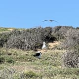 Makiki Valley Loop, Oahu, Hawaii - 5,754 Reviews, Map | AllTrails