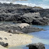 Makiki Valley Loop, Oahu, Hawaii - 5,672 Reviews, Map | AllTrails