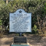 Star Trail, Virginia - 1,181 Reviews, Map | AllTrails