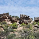 Rock Garden Trail, Texas - 1,066 Reviews, Map | AllTrails