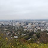 Runyon Canyon Trail, California - 8,117 Reviews, Map | AllTrails